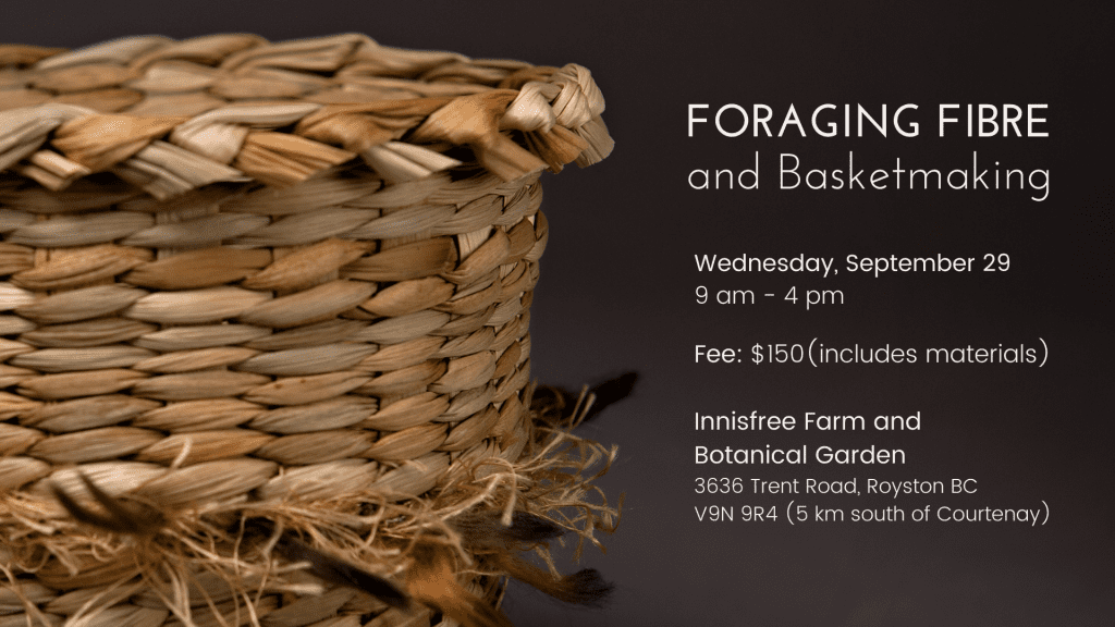 Foraging Fibre and Basketmaking – SOLD OUT
